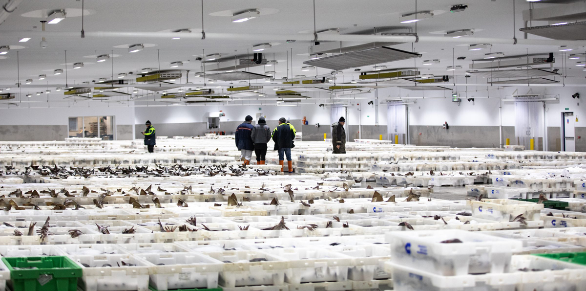 6 Things to Consider when Packaging Perishable Food Products
