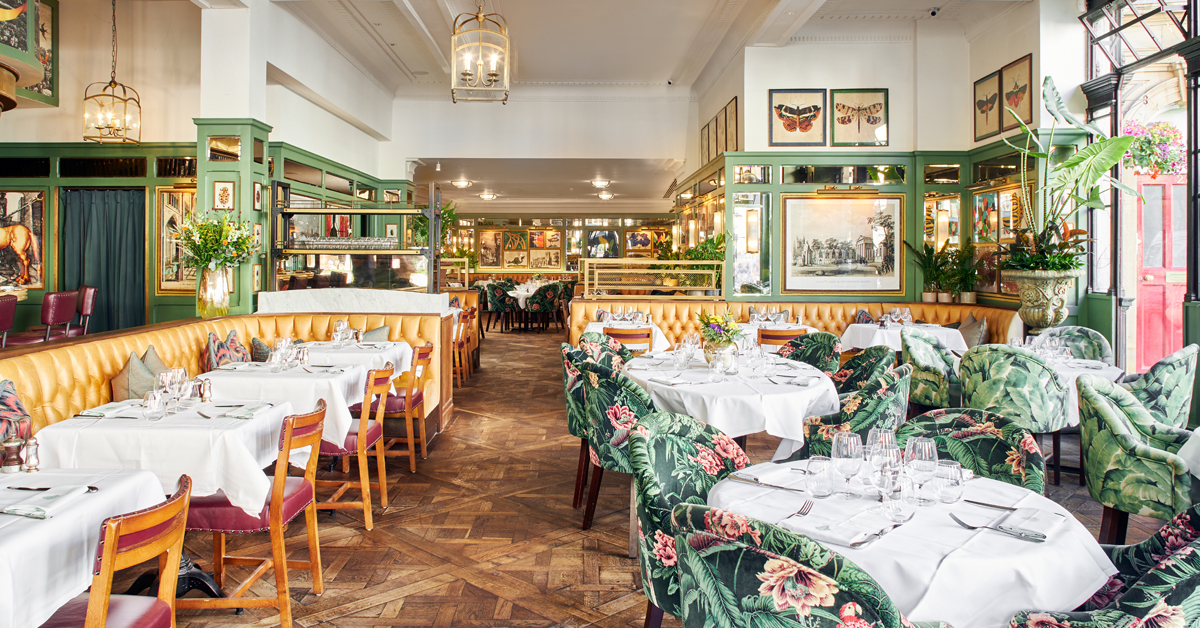 The Ivy, York – Restaurant Review - On: Yorkshire Magazine