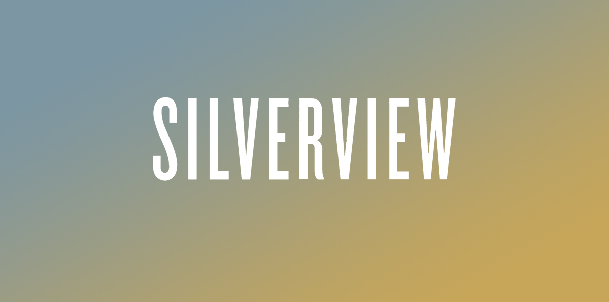 Silverview by John Le Carré - Review. Posthumous novel from spy master.